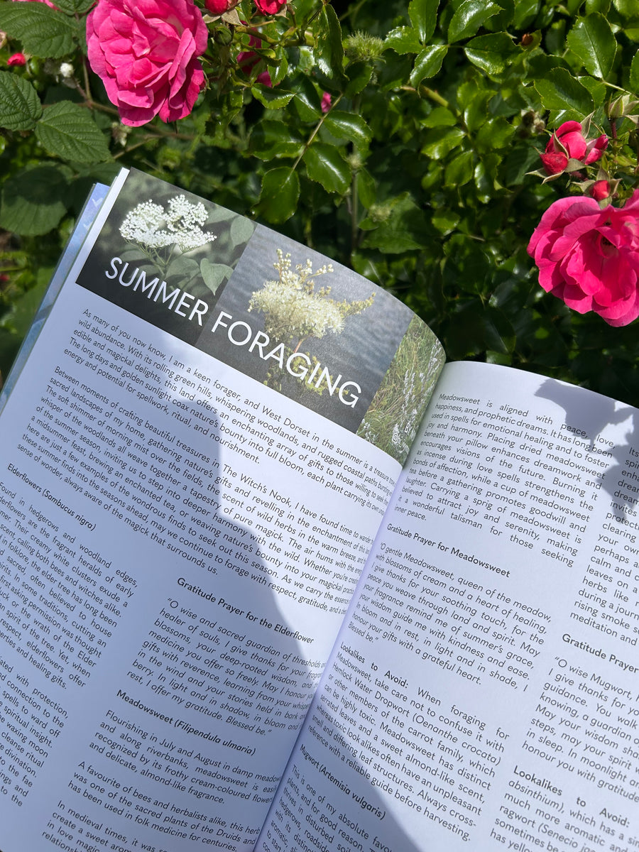 Witches Magazine Summer 2025 🌺🌞 – Sweet Pea & Little Wolf